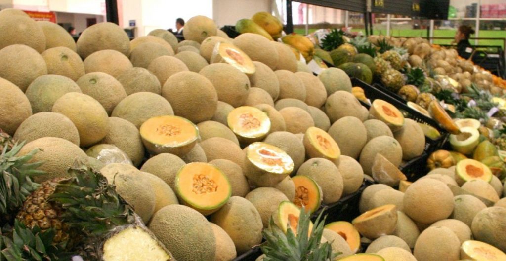 La historia detrás de los supuestos melones con salmonella en Sonora ...